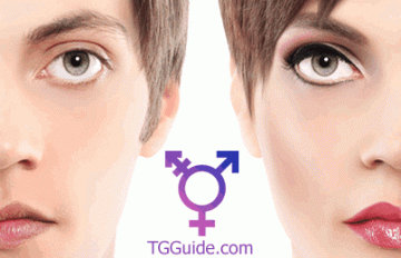 TGGuide Trans Chat and Online Support with Member Profiles