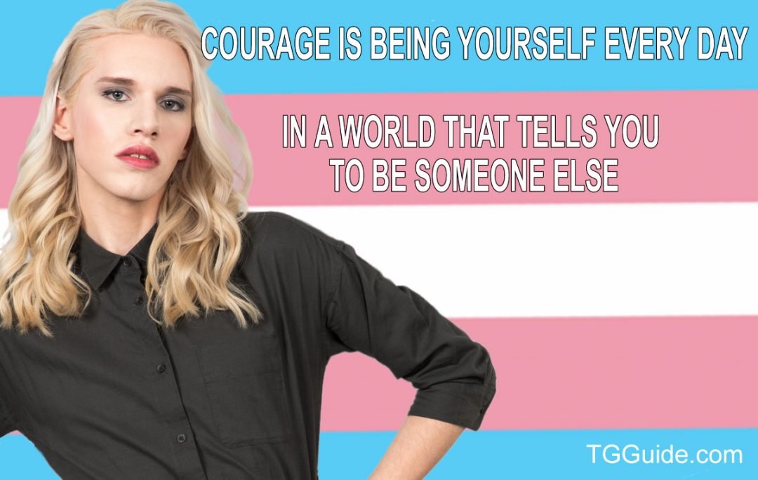 Transgender Memes Share Trans Memes On Social Media 