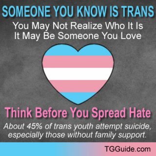 TGGuide Trans Chat and Online Support with Member Profiles